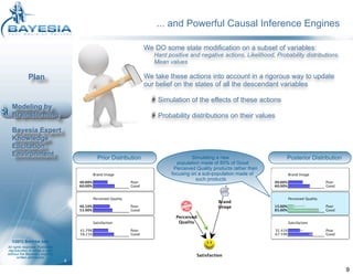 BEKEE, Expert Knowledge Modeling with Bayesian Belief Networks | PDF