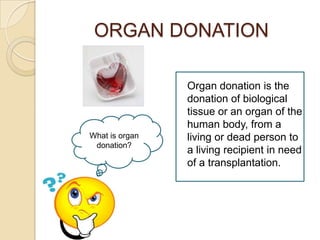 Bel 492 presentation | PPTX | Medical Health