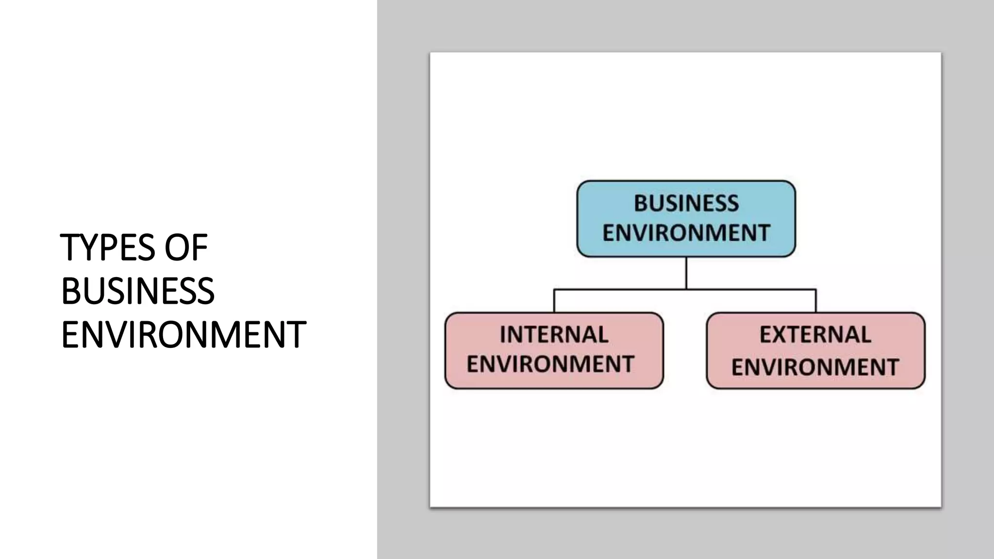 Internal Business Environment | PPTX