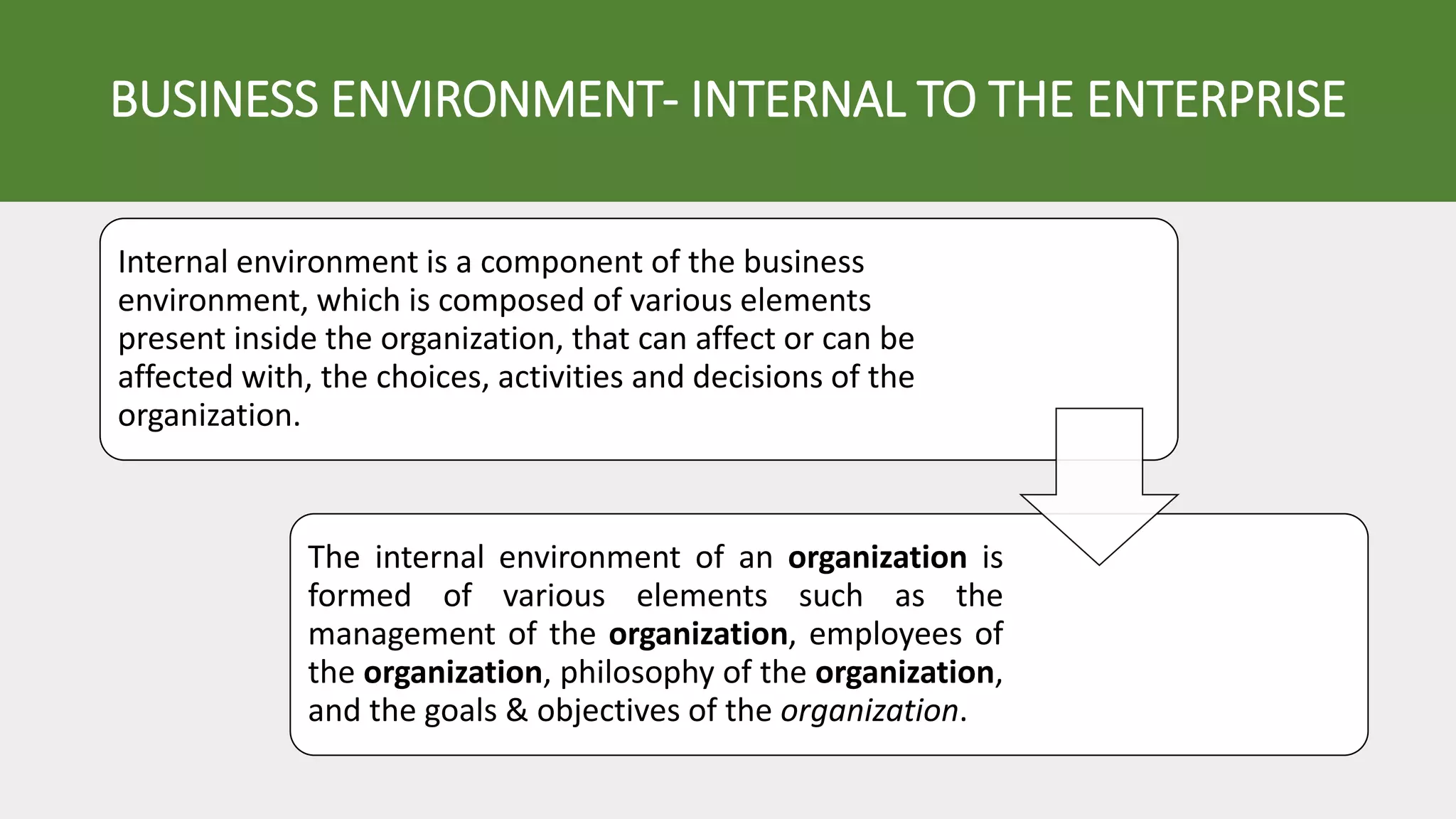 Internal Business Environment | PPTX