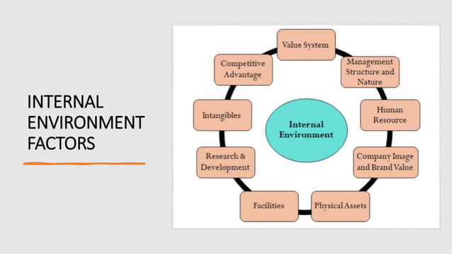 Internal Business Environment | PPTX | Green Solutions | Business