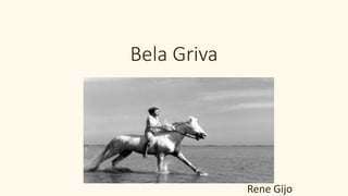 Bela Griva | PPTX