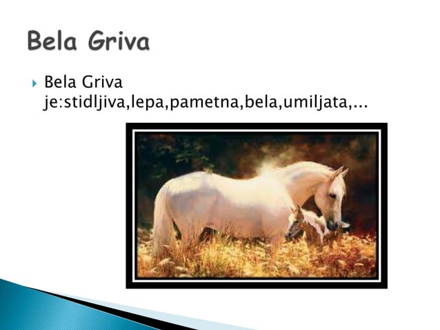 Bela griva | PPTX
