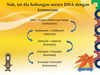 Belajar gen, dna dan kromosom 2 | PPTX