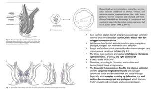Belajar Hemorrhoid Lagi.pptx
