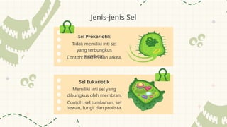 Belajar Memahami Tentang Sel Presentasi Krem dan Hijau Ilustrasi ...