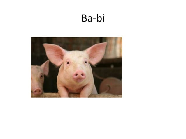 Belajar membaca hewan | PPT