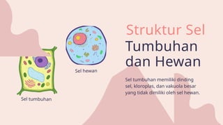 Belajar Mengenal Struktur Sel Presentasi dalam Merah Muda Biru ...