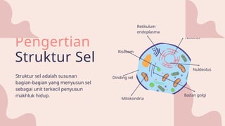 Belajar Mengenal Struktur Sel Presentasi dalam Merah Muda Biru ...