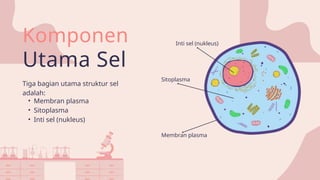 Belajar Mengenal Struktur Sel Presentasi dalam Merah Muda Biru ...
