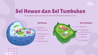 Belajar Pengenalan Sel Presentasi Ungu Ilustrasi.pdf