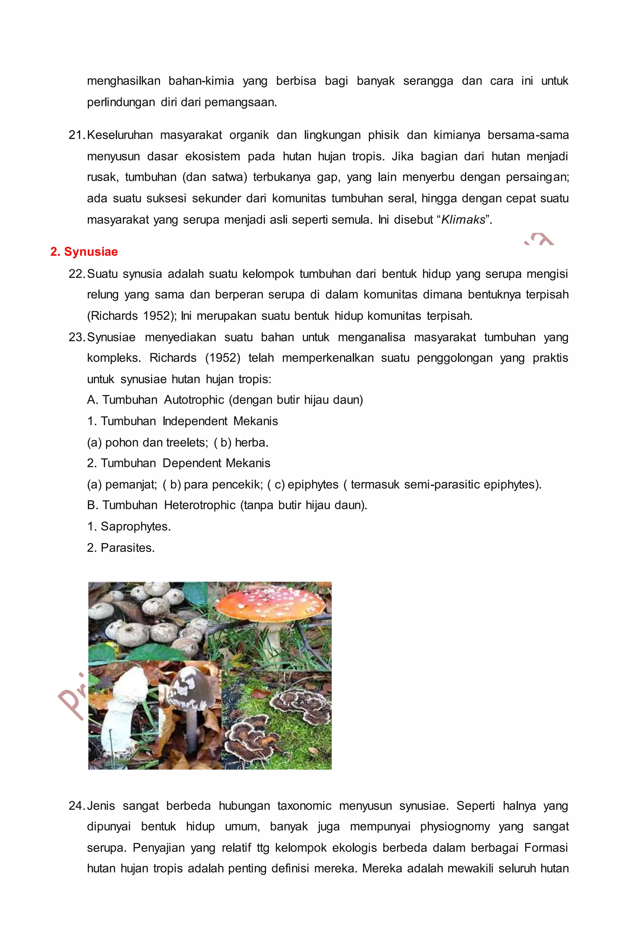 Belajar tentang mengenal profil hutan | DOCX