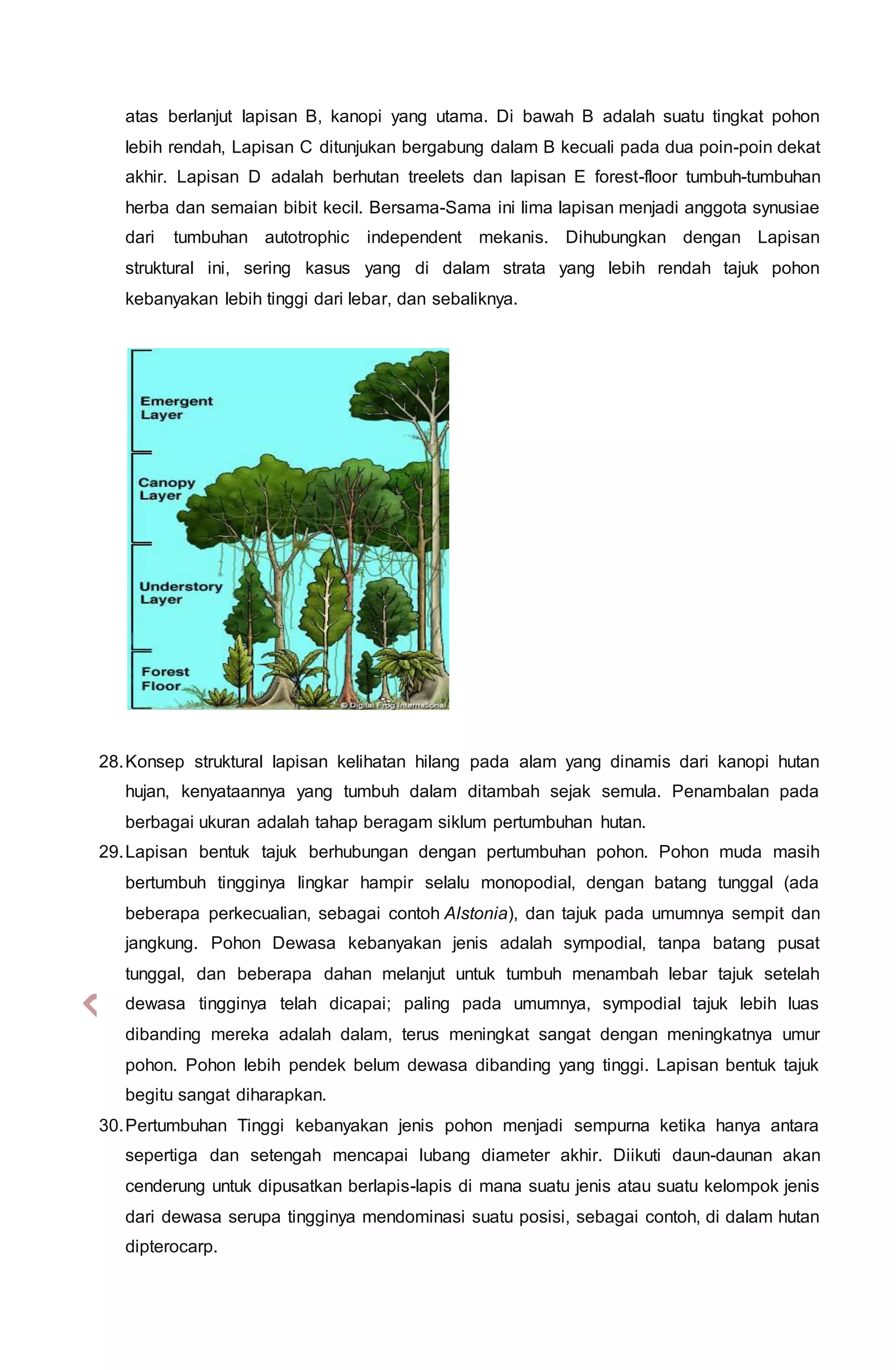 Belajar tentang mengenal profil hutan | DOCX