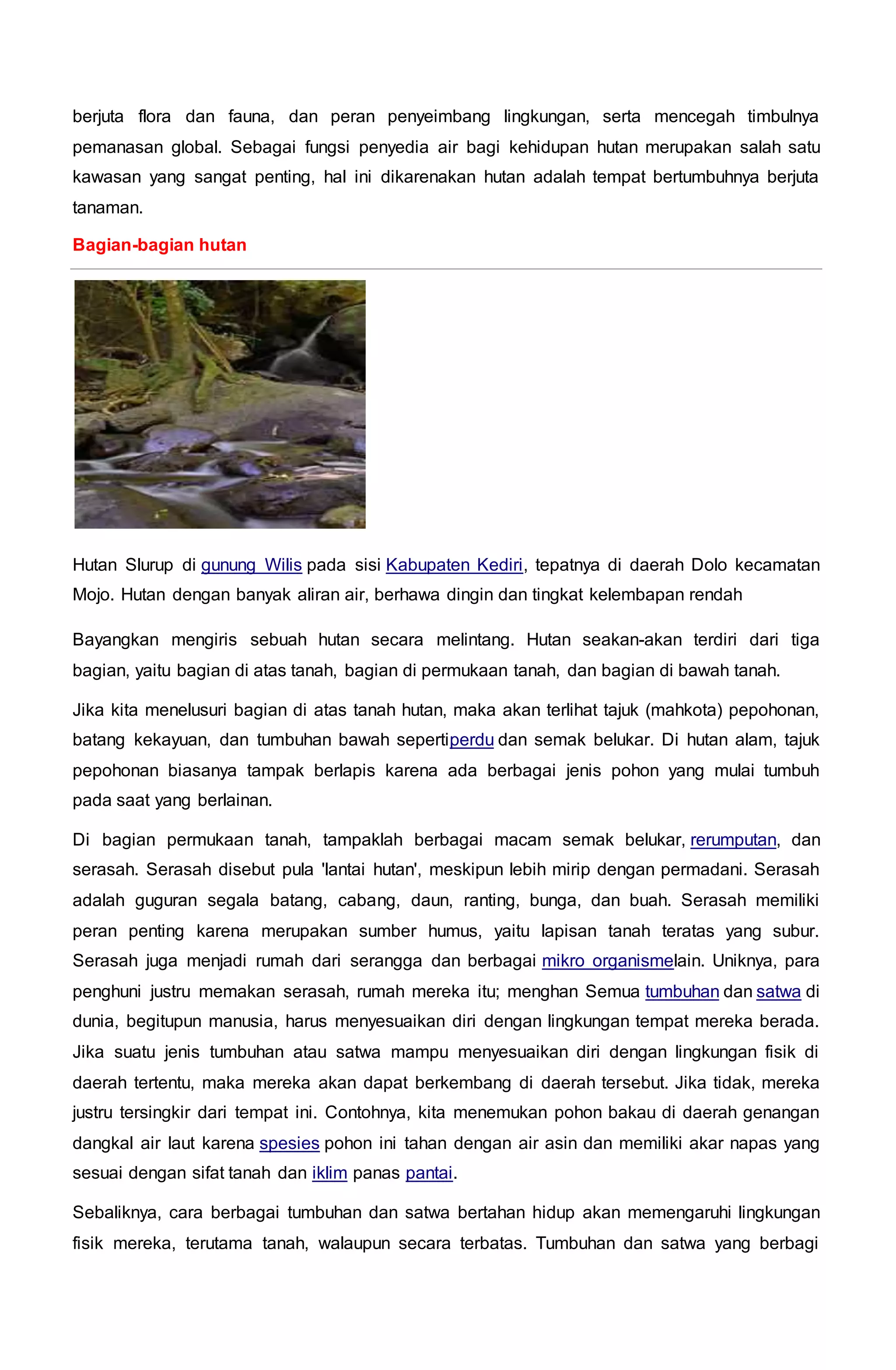 Belajar tentang mengenal profil hutan | DOCX