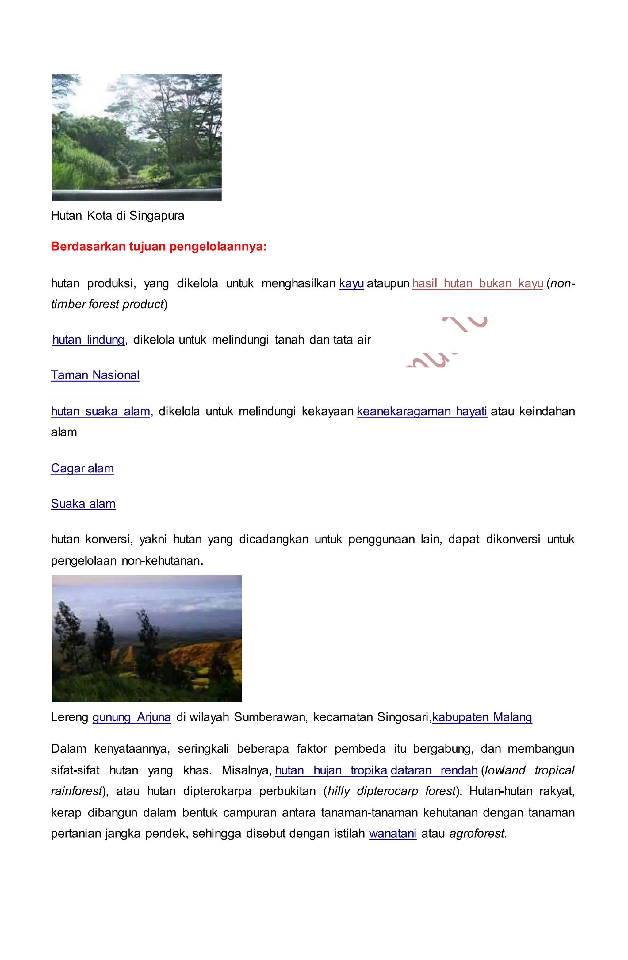 Belajar tentang mengenal profil hutan | DOCX