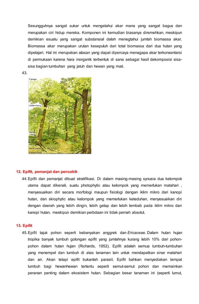 Belajar tentang mengenal profil hutan | DOCX