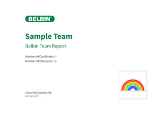 belbin report for team member, comprehensive | PPT