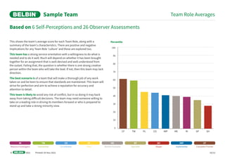 belbin report for team member, comprehensive | PPT