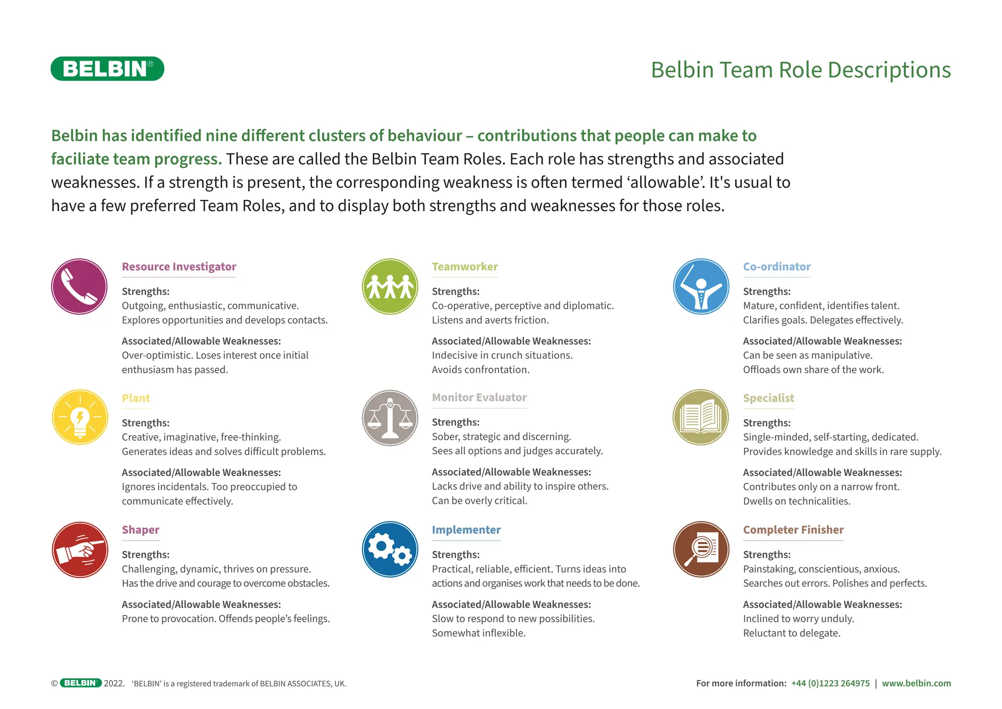 Belbin team role descriptions overview official | PDF