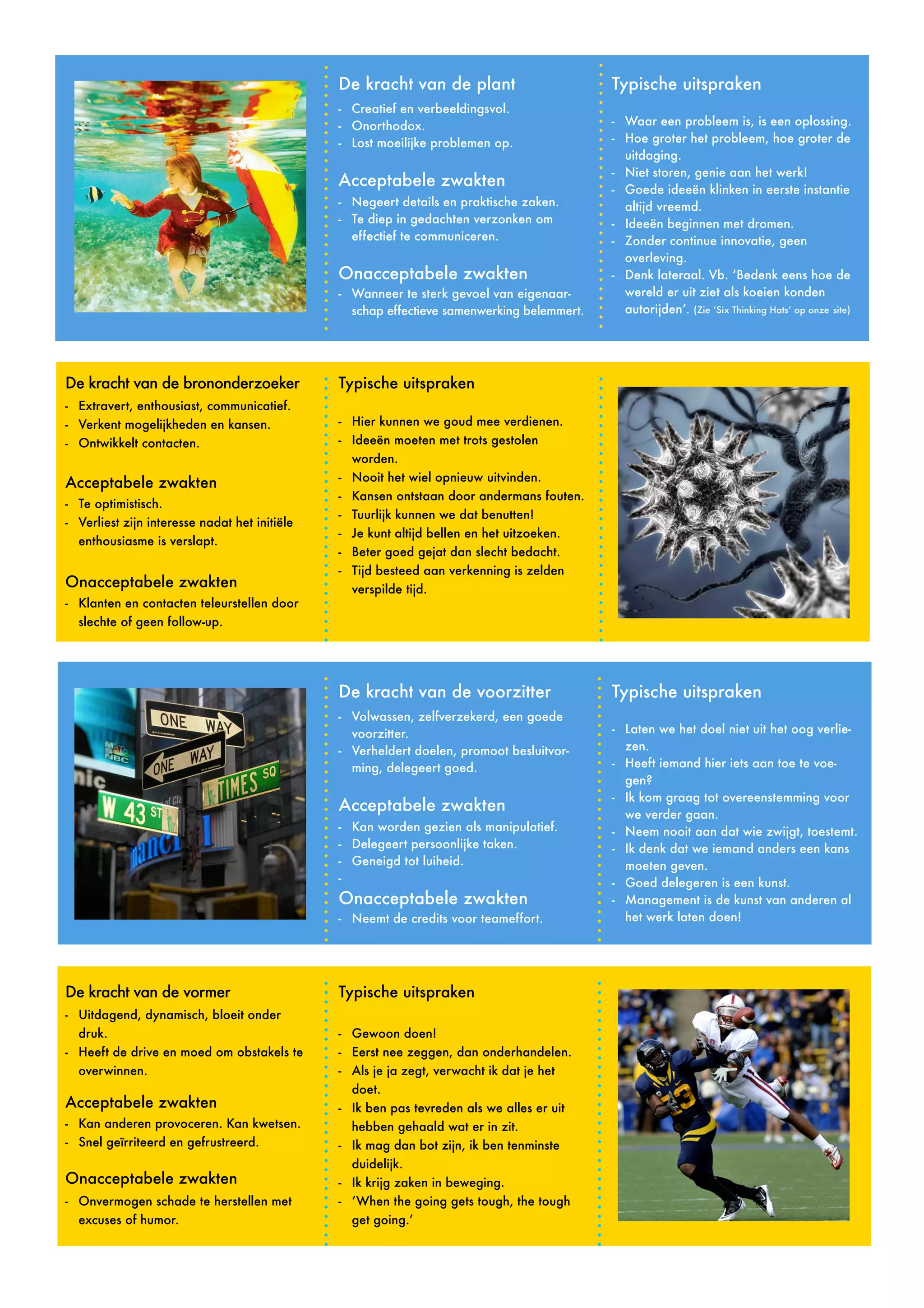 Belbin team roles at work | PDF