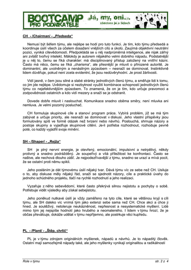 Belbinův popis rolí | PDF