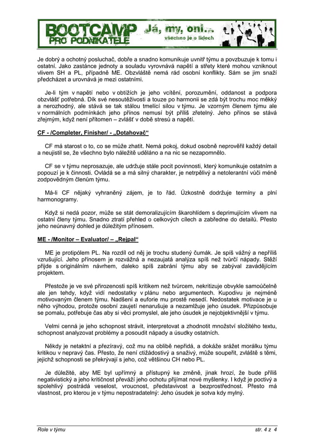 Belbinův popis rolí | PDF | Free Download