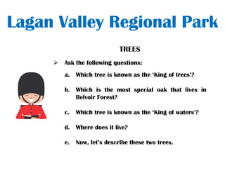 Belfast. Natural features | PPT