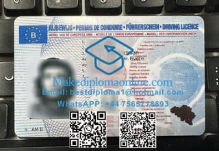 Where to Buy Belgian Driving License, Belgian Rijbewijs | PDF