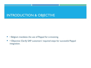 Peppol Integration and ERP connection points | PPTX