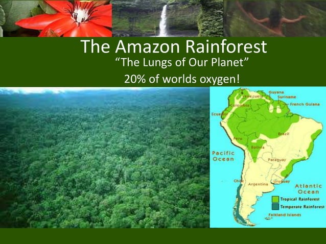 "Visions of the Amazon" - Clever (Ecuador) | PPTX