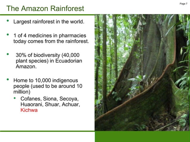 "Visions of the Amazon" - Clever (Ecuador) | PPTX