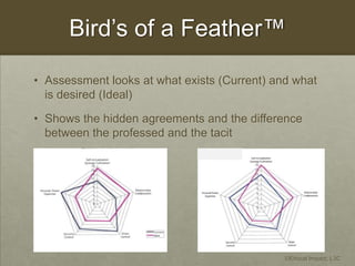 Beliefs values culture | PPTX | Birdwatching | Hobbies & Interests