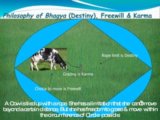 karma & Destiny | PPT