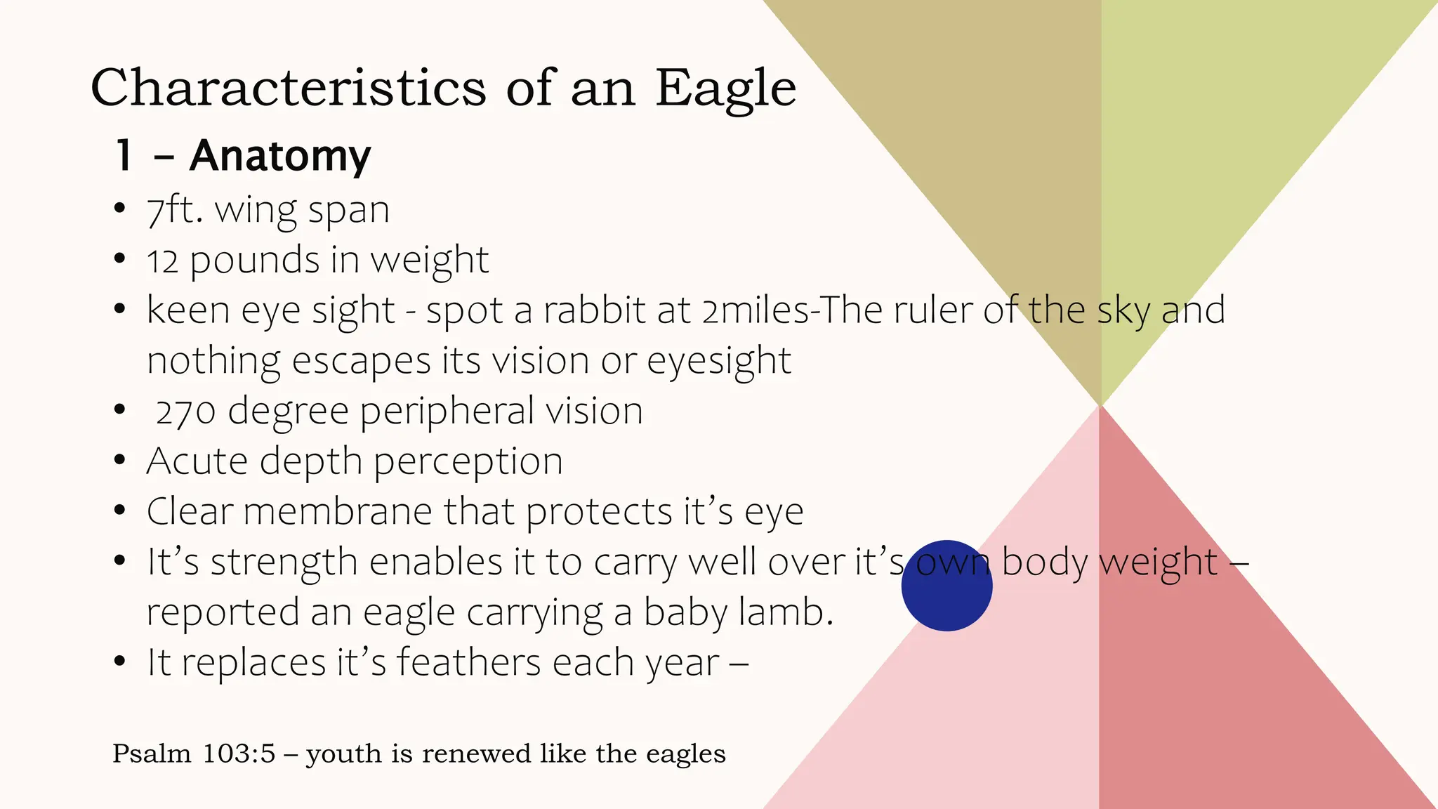 BE LIKE AN EAGLE AND KEEP SOARING HIGH.pptx