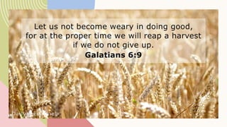 BE LIKE AN EAGLE AND KEEP SOARING HIGH.pptx