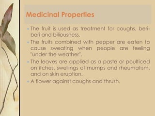 Belimbing wuluh | PPTX