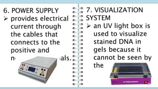 ADVANCES IN BIOLOGICAL SCIENCES GEL ELECTROPHORESIS | PPTX