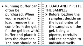 ADVANCES IN BIOLOGICAL SCIENCES GEL ELECTROPHORESIS | PPTX