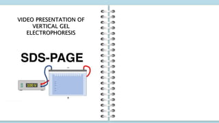 ADVANCES IN BIOLOGICAL SCIENCES GEL ELECTROPHORESIS | PPTX