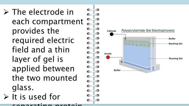 ADVANCES IN BIOLOGICAL SCIENCES GEL ELECTROPHORESIS | PPT