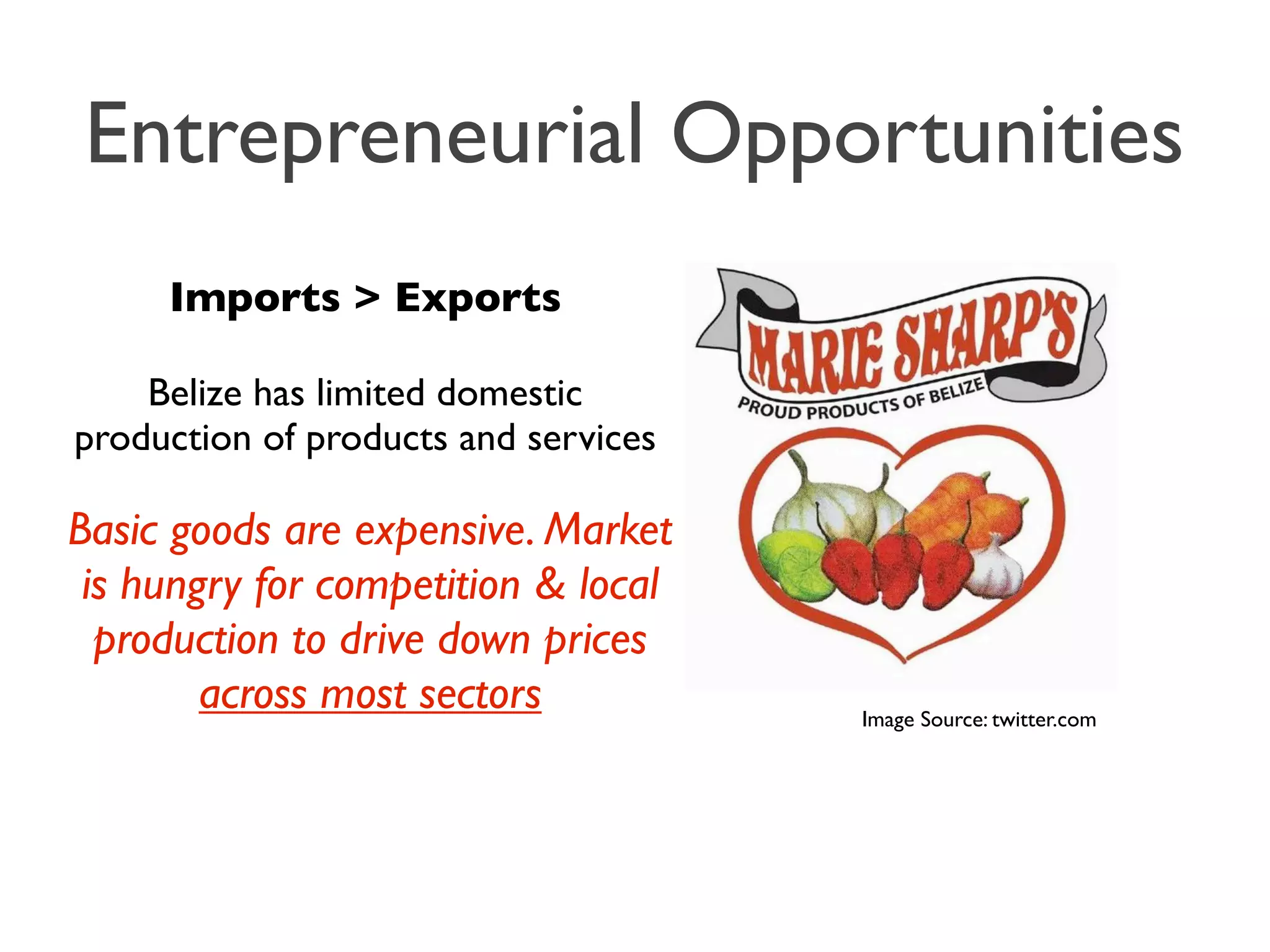 Entrepreneurship in Belize | PDF