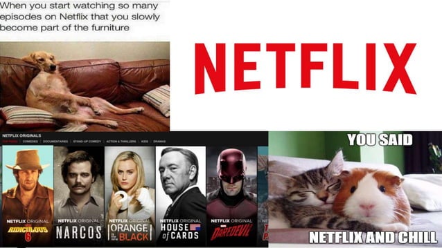 LGBTQ Representation in Netflix | PPT