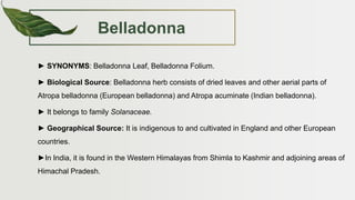 pharmacogosy of belladona atropine and its uses | PPTX