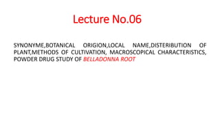 Belladona root | PPTX