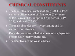 Pharmacognostic study of Belladonna or Belladonna herb | PPTX