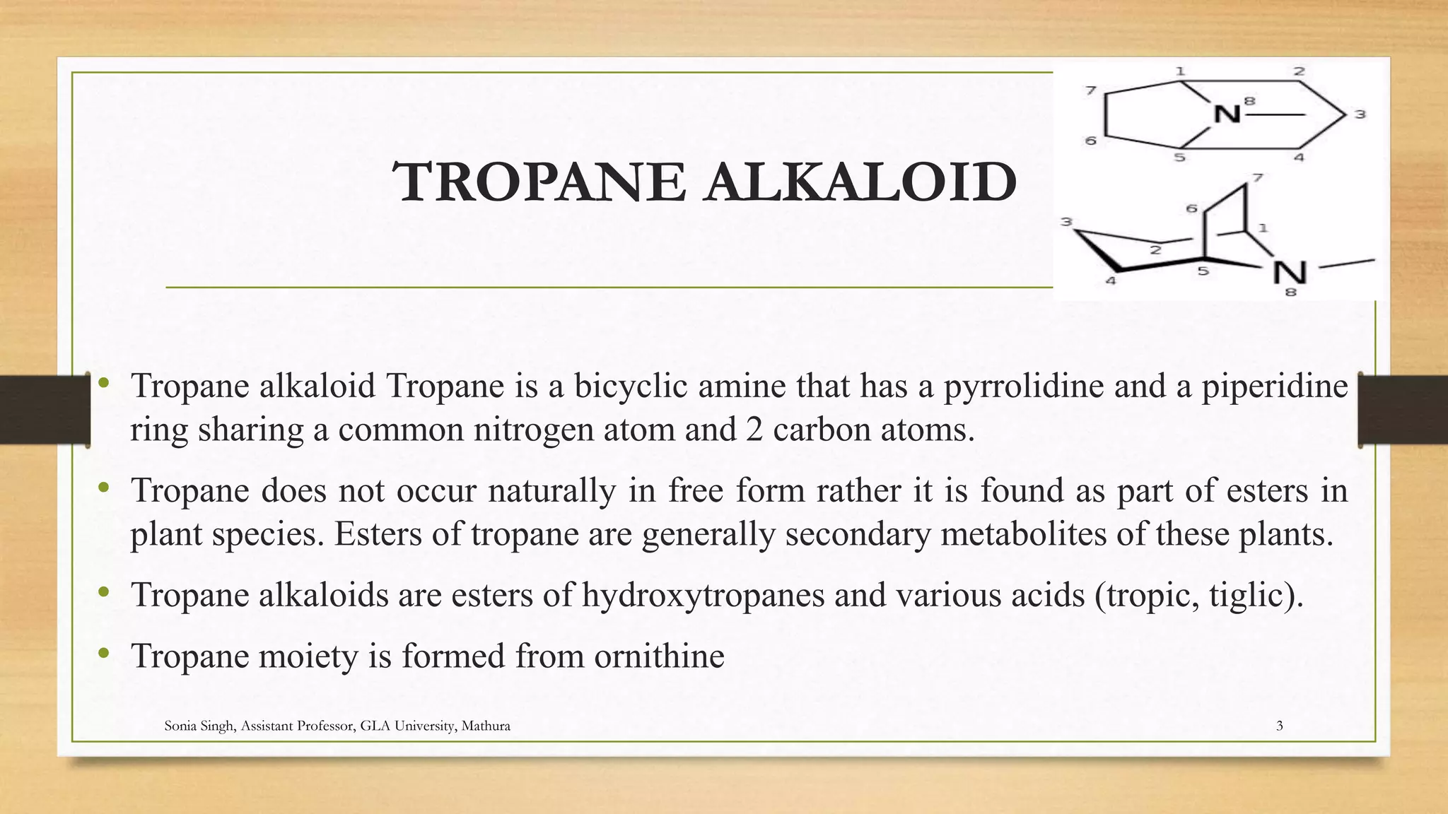 Belladonna: biological source, morphology, microscopy | PPTX