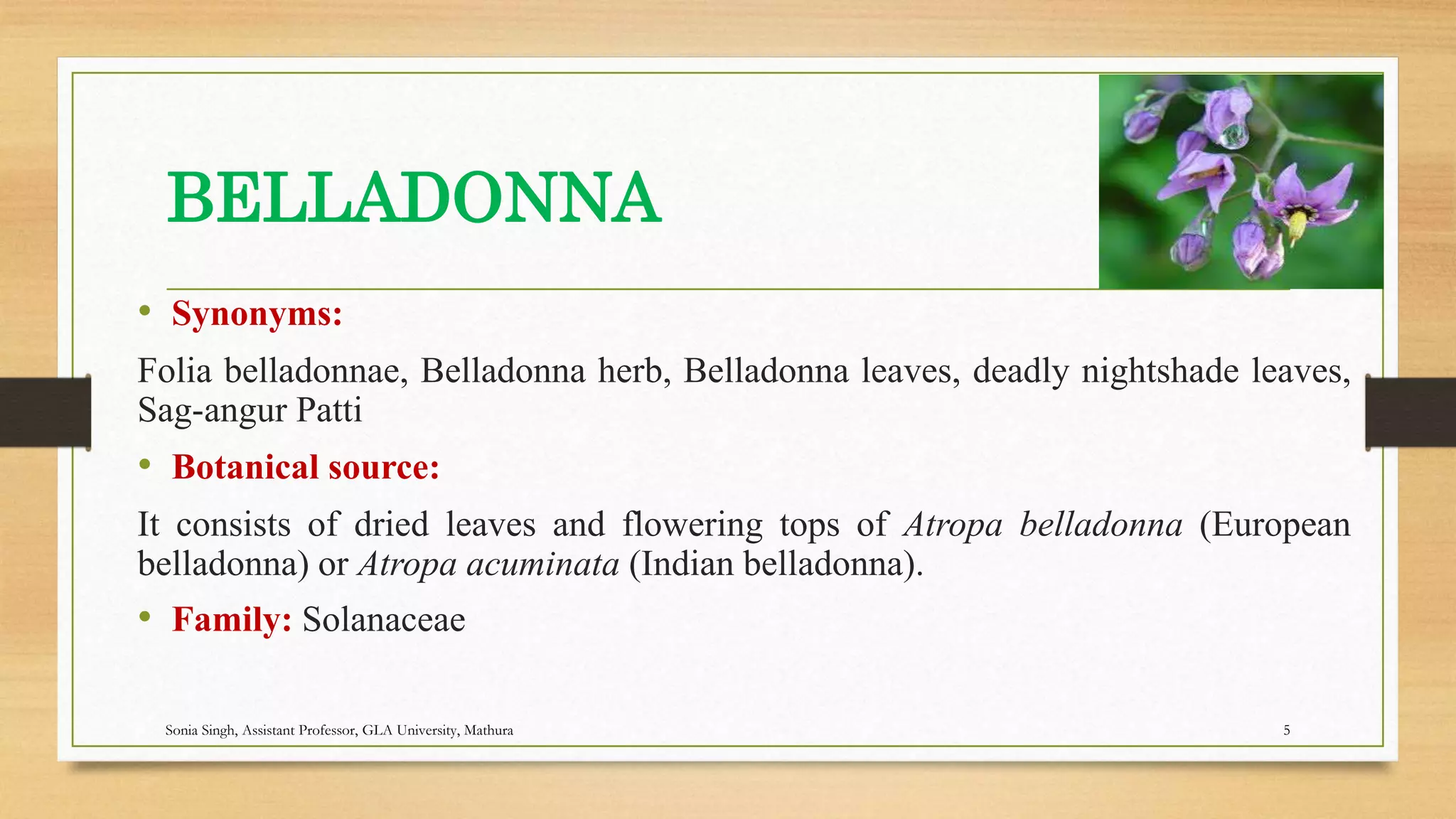 Belladonna: biological source, morphology, microscopy | PPTX