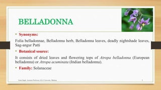 Belladonna: biological source, morphology, microscopy | PPTX
