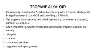 detailed Pharmacognosy of belladonna 5th sem.ppt