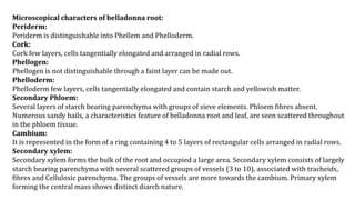 detailed Pharmacognosy of belladonna 5th sem.ppt